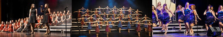 Discover the Best Choral Risers for Effortless Setup and Performance ...